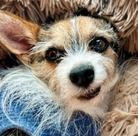 brockbutlermusic com